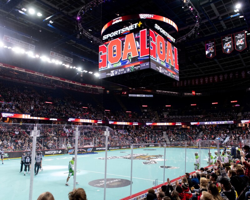 Discover Calgary’s growing sports scene: From pro teams to community ...